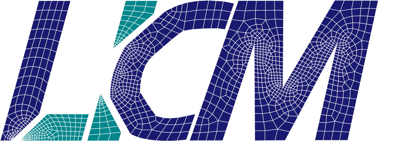 Institute of Continuum Mechanics and Biomechanics